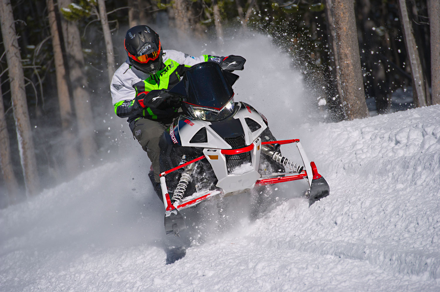 Arctic Cat Thundercat Historical - Supertrax Online
