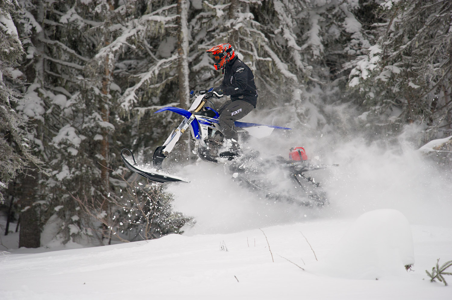 2017 Rider Reactions - Timbersled - Supertrax Online